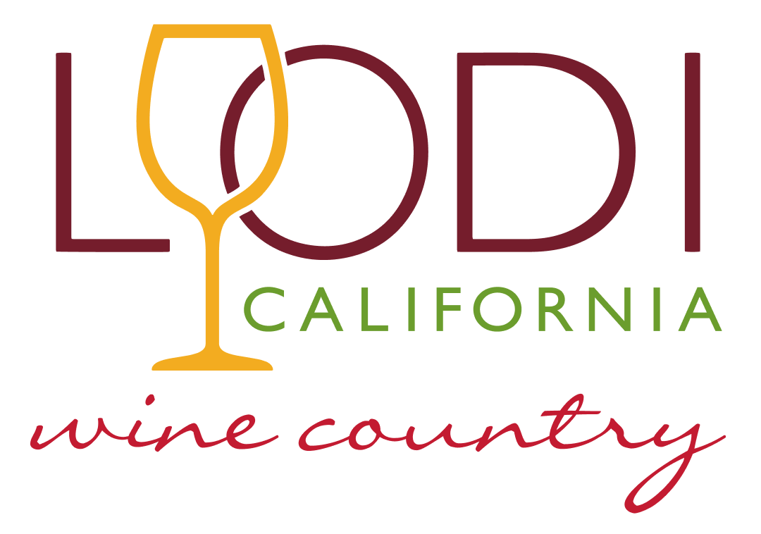 SnapSea: UGC & Digital Asset Management Platform