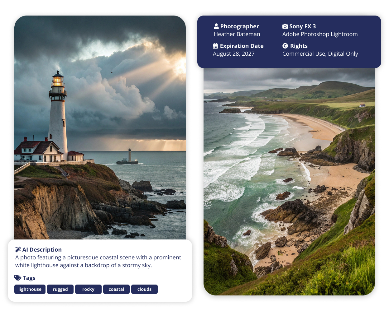 SnapSea: UGC & Digital Asset Management Platform