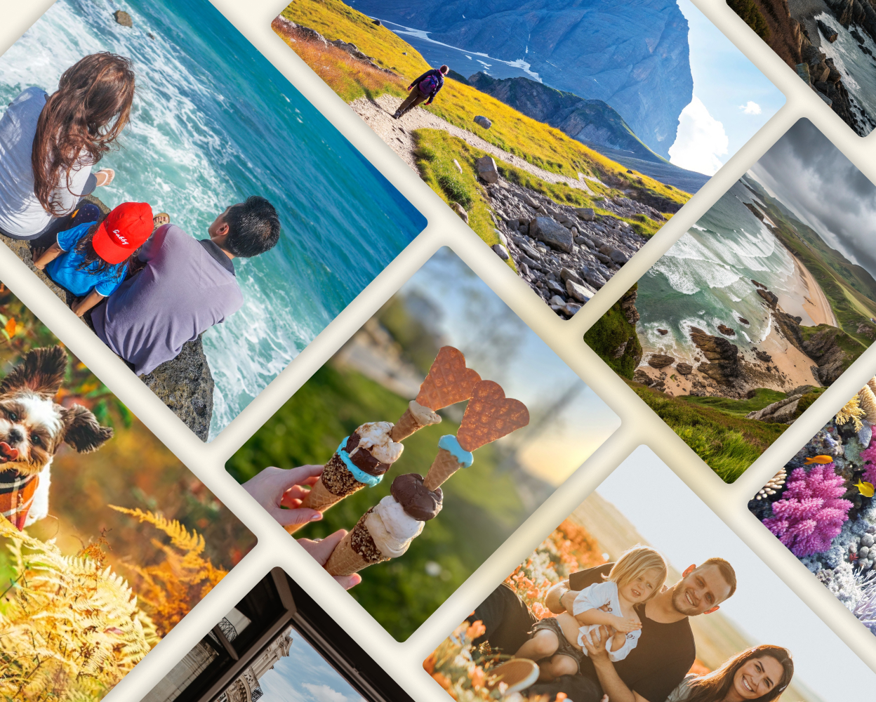 SnapSea: UGC & Digital Asset Management Platform